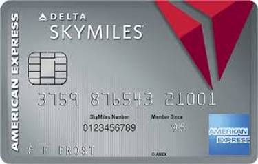 Platinum Delta SkyMiles Business Credit Card from American Express Review: Never Pay for a Bag ...